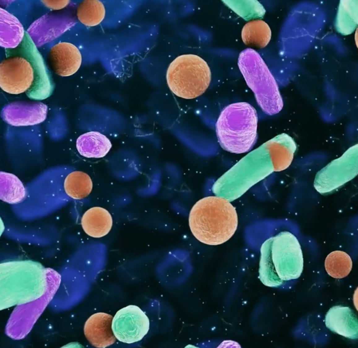 Premium Probiotics - Support your gut microbiome – MicroBio Health™