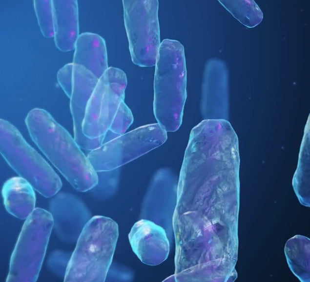 5 Billion live bacteria per capsule – MicroBio Health™