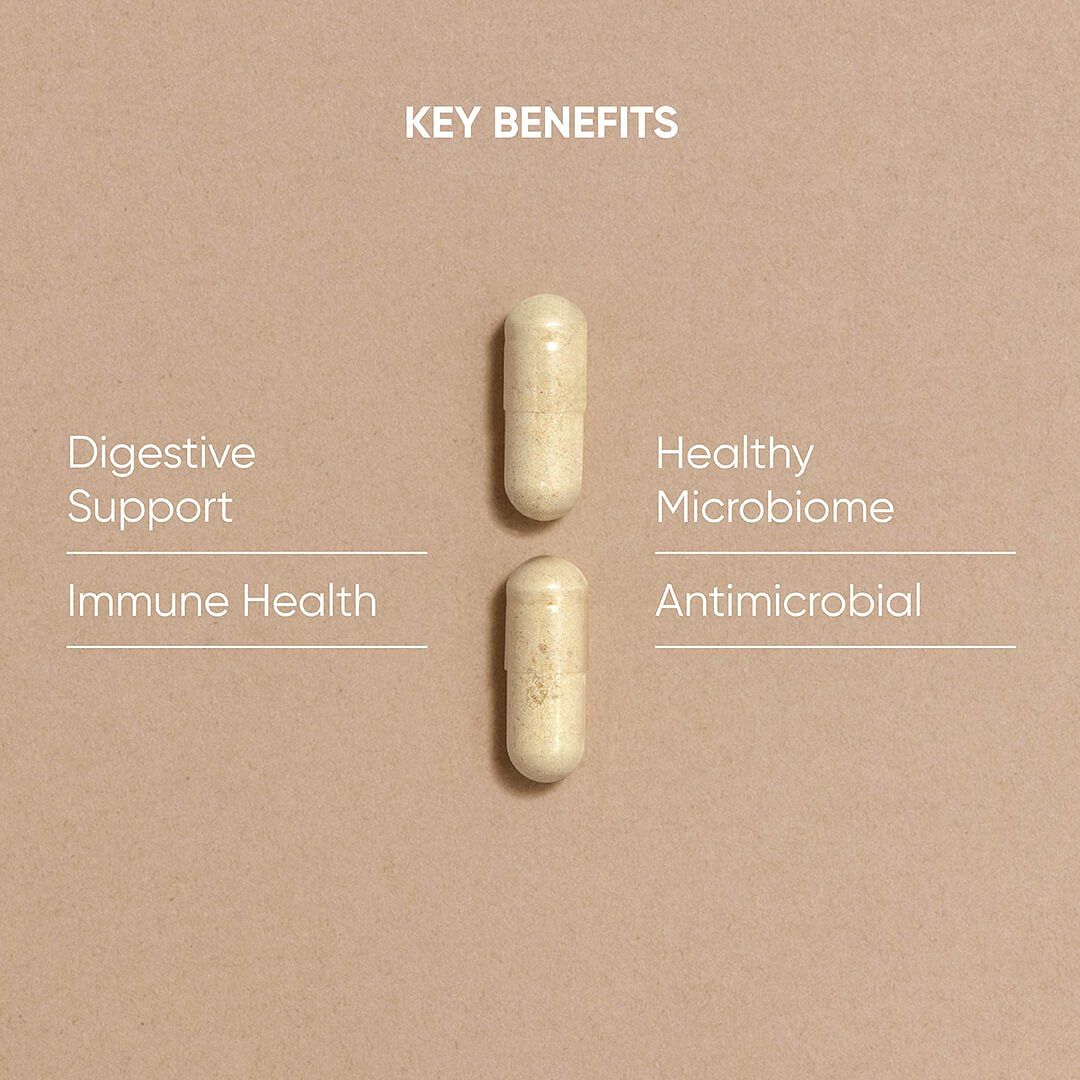 Nutri Advanced Candex SIBO 45 Capsules – MicroBio Health™